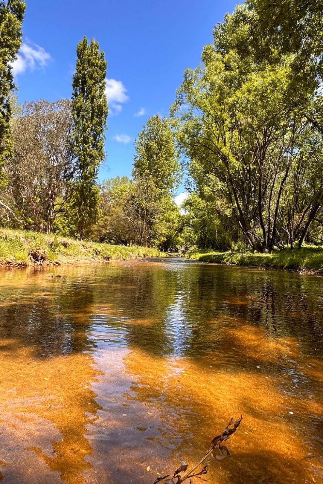 Omeo Holiday Park Official Site - Facilities